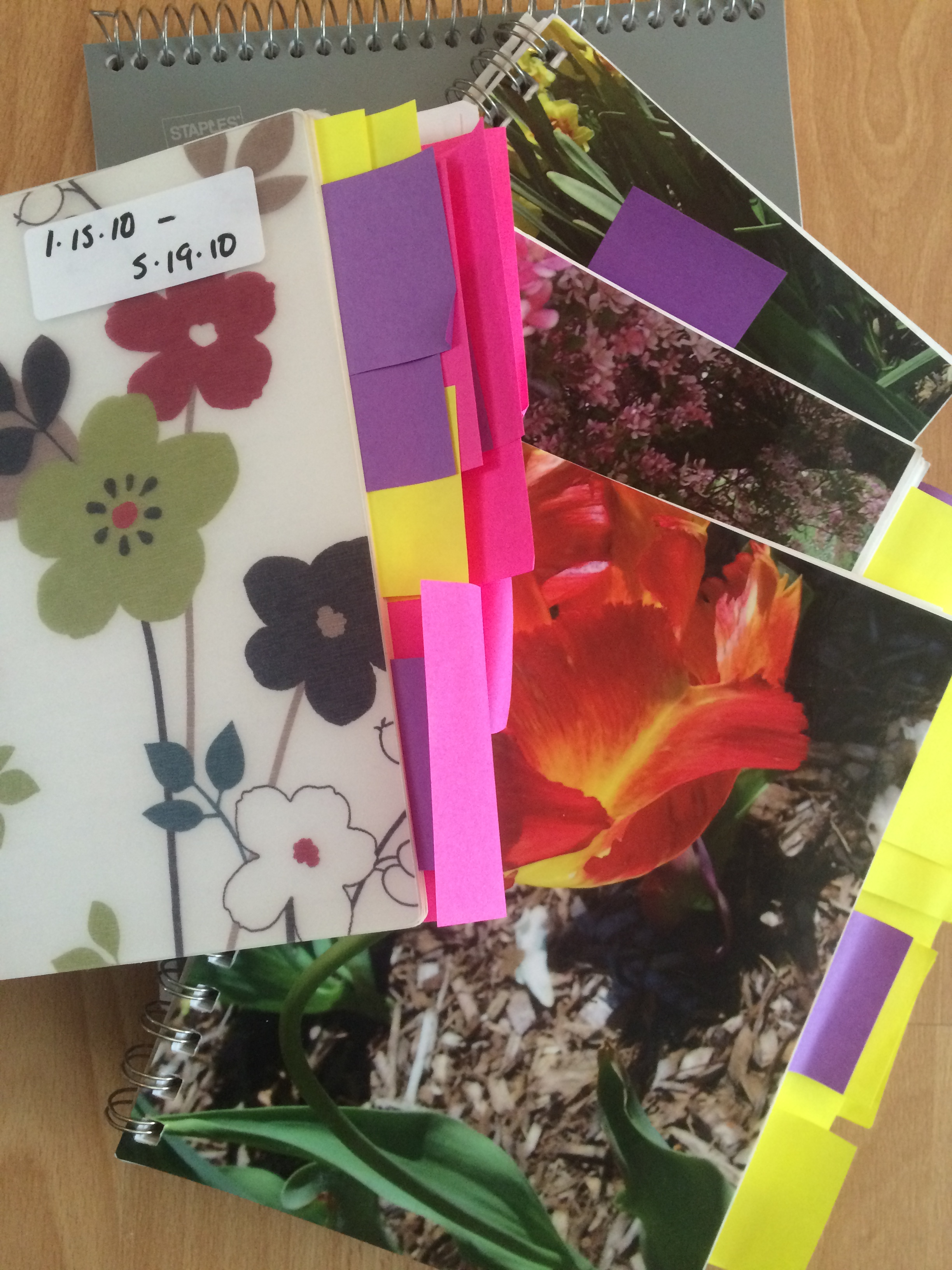 Play | Kristin DeMarco Wagner